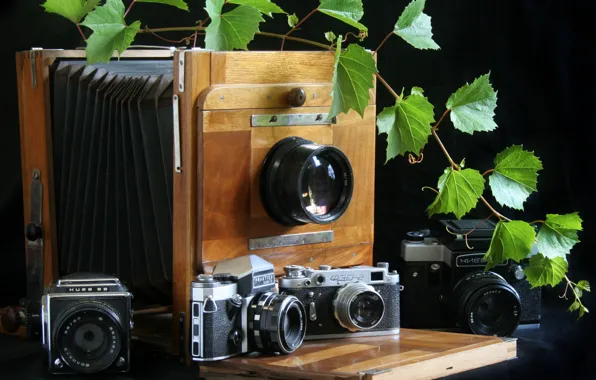 Wallpaper background, cameras, case, lenses, diaphragm, gates, "Fed-2 ...