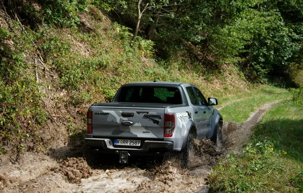 Wallpaper grey, Ford, puddle, back, Raptor, pickup, Ranger, 2019 for ...