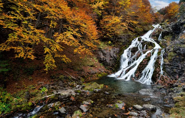Wallpaper autumn, leaves, trees, river, stones, waterfall, Spain for ...