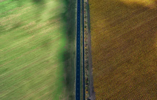 Download wallpaper road, field, farm, section textures in resolution ...