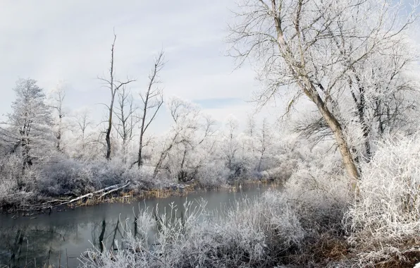 Wallpaper winter, snow, nature, river for mobile and desktop, section ...