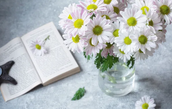 Wallpaper drops, flowers, table, bouquet, book, pink, white, chrysanthemum for mobile and ...