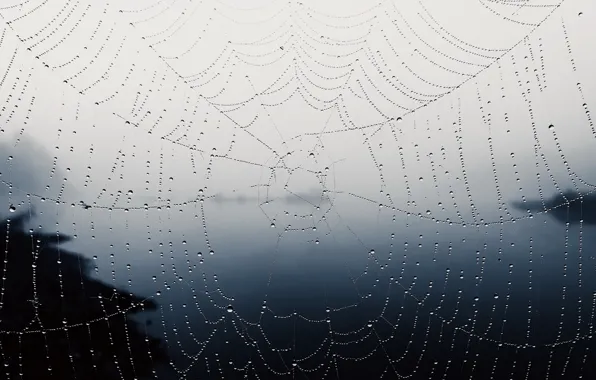 Download wallpaper drops, nature, web, section nature in resolution ...