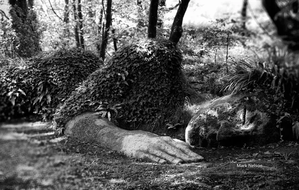 Wallpaper figure, photographer, magic b & W photo, Monochromatic, Mark ...