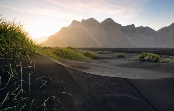 Download wallpaper light, nature, morning, section nature in resolution ...