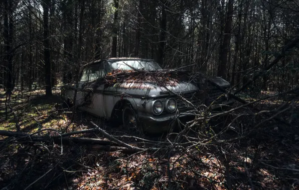 Wallpaper machine, forest, scrap for mobile and desktop, section другие ...