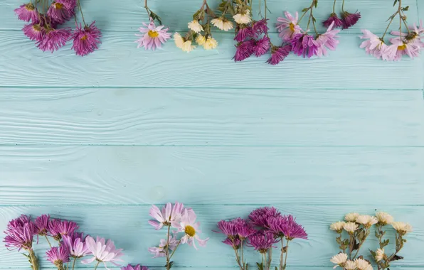 Wallpaper flowers, background, blue, colorful, wood, blue, flovers for ...