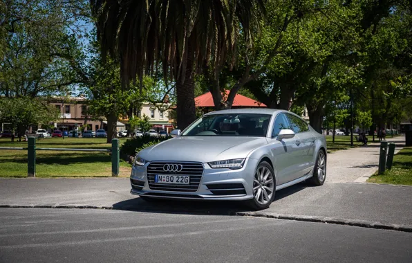 Wallpaper trees, Audi, Audi, TDI, car, quattro, the front, S line for ...