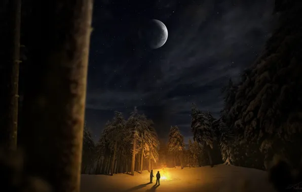 Wallpaper winter, forest, ieti for mobile and desktop, section ...