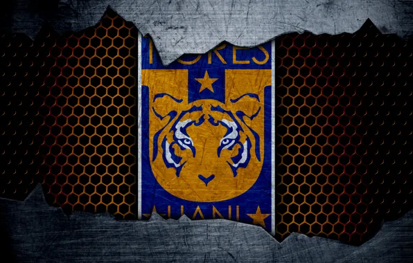 Wallpaper wallpaper, logo, football, Sport, Tigres UANL for mobile and ...