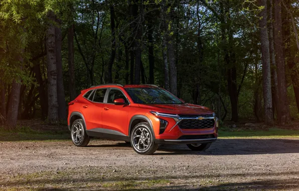 Wallpaper machine, background, Wallpaper, technique, car, SUV, car ...