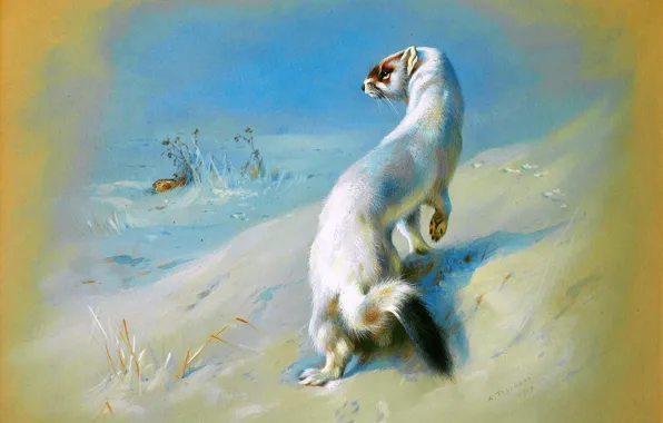 Wallpaper Winter, Snow, Picture, Archibald Thorburn, Archibald Thorburn ...