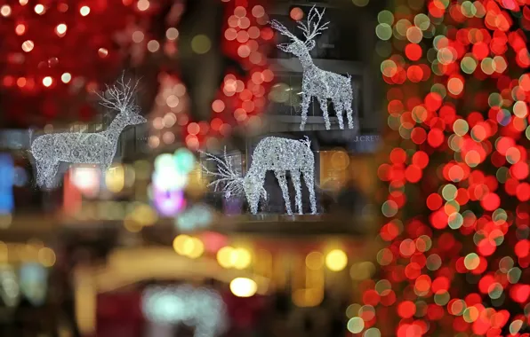 Download wallpaper holiday, showcase, iluminacja, section holidays in ...