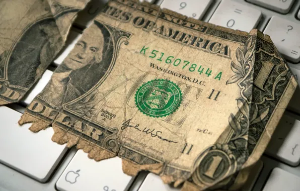 Wallpaper macro, money, Last Dollar images for desktop, section разное ...