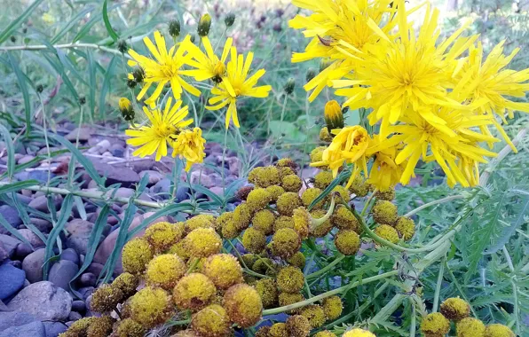 Wallpaper Shore, August, twilight images for desktop, section природа ...