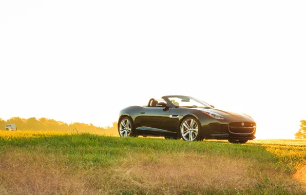 Wallpaper car, auto, grass, light, green, Jaguar, light, grass for ...