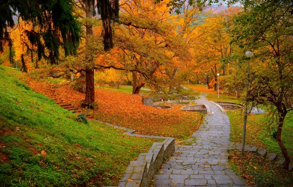 Wallpaper Autumn, Lights, Park, Fall, Park, Autumn for mobile and ...