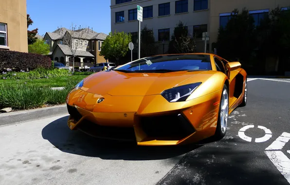 Wallpaper yellow, street, building, lamborghini, yellow, aventador ...