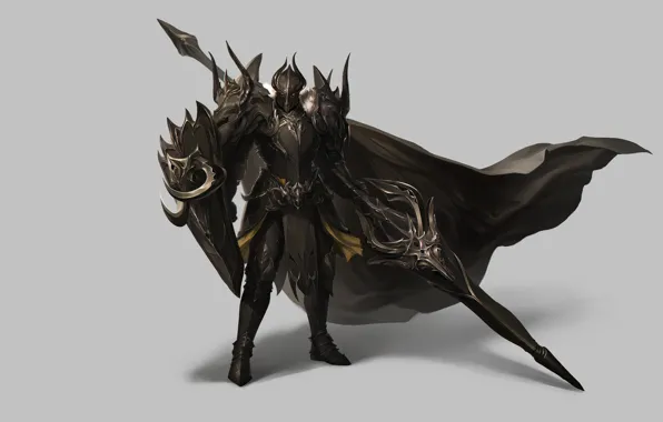 Download wallpaper Armor, Warrior, Lancer, Cloak, Art, Art, Warrior ...