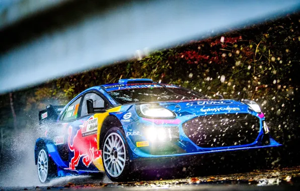 Wallpaper Ford, wrc, Puma for mobile and desktop, section ford ...