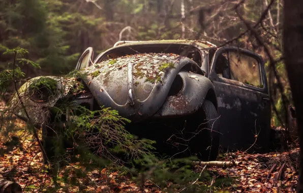 Wallpaper machine, forest, scrap for mobile and desktop, section разное ...