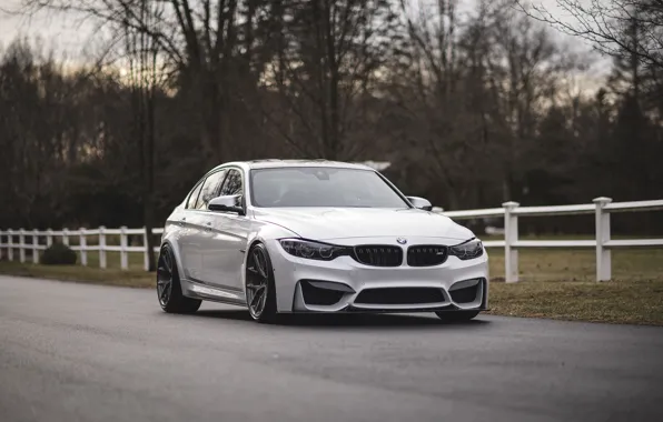 Wallpaper BMW, White, F80, Sight, Hedge images for desktop, section bmw ...