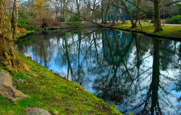 Download wallpaper park, lake, tree, pond, waterm, section landscapes ...