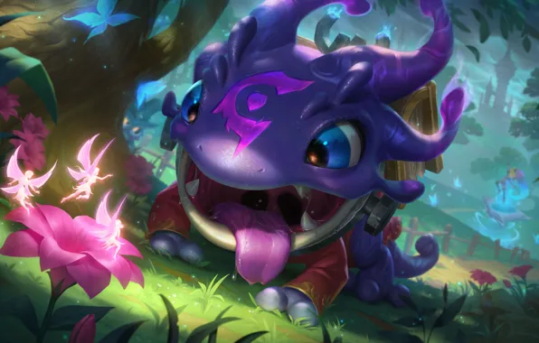 Wallpaper glade, fantasy, dragon, fairies, League of Legends, Zoe, Riot ...