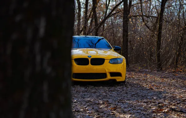 Download wallpaper E92, Trees, M3, Dakar yellow, section bmw in ...