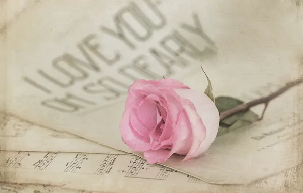 Wallpaper notes, roses, vintage for mobile and desktop, section цветы ...