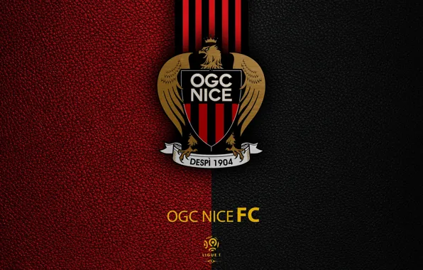 Download wallpaper wallpaper, sport, logo, football, Ligue 1, OGC Nice ...