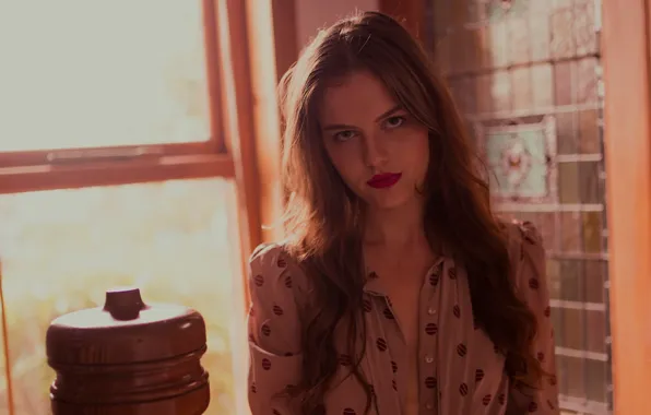 Wallpaper eyes, look, light, window, image, Lily Kate for mobile and ...