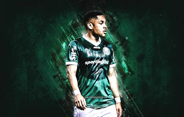 Wallpaper Brasil, Brazilian, Palm trees, SE Palmeiras, Vitor Roque ...