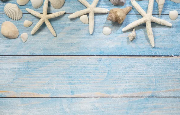 Wallpaper sea, background, shell, starfish for mobile and desktop ...