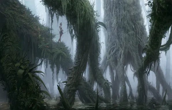 Wallpaper forest, trees, fog, hunter, swamp for mobile and desktop ...