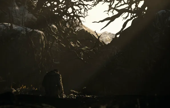 Wallpaper Dark, Ethan Winters, RE Village images for desktop, section ...