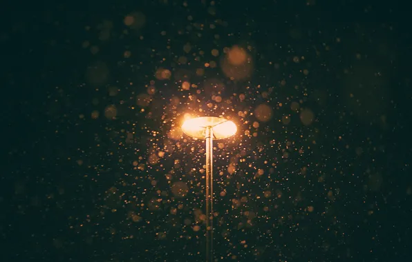 Wallpaper light, winter, snowing, lamp post for mobile and desktop ...
