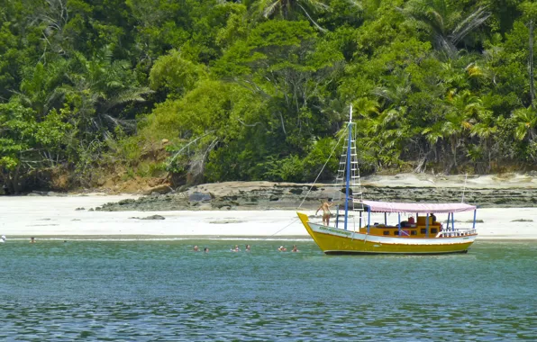 Wallpaper Nature, Landscapes, Brazil, Bahia, South American images for ...