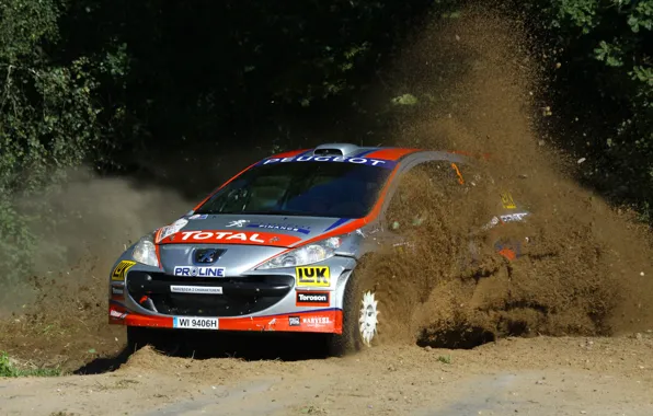Wallpaper rally, WRC, peugeot images for desktop, section peugeot ...