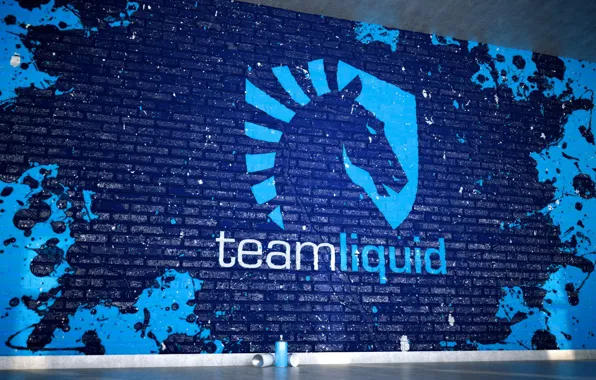 Wallpaper team, dota2, cs:go, counter-strike global offensive, team ...