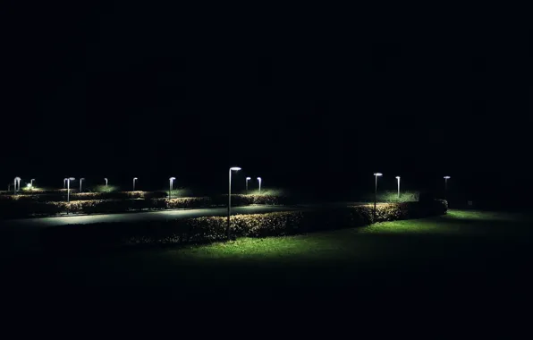 Wallpaper grass, night, Bush, lantern for mobile and desktop, section ...