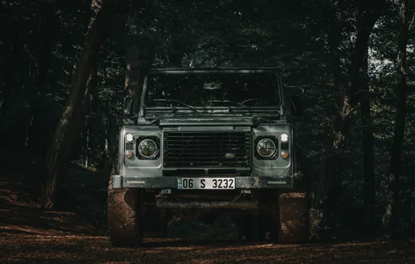 Wallpaper Land Rover, trees, wood, Defender, Offroad, Tolga Ahmets for ...