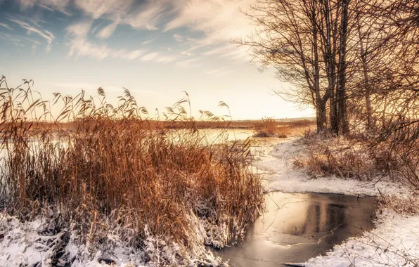 Wallpaper winter, snow, nature for mobile and desktop, section природа ...