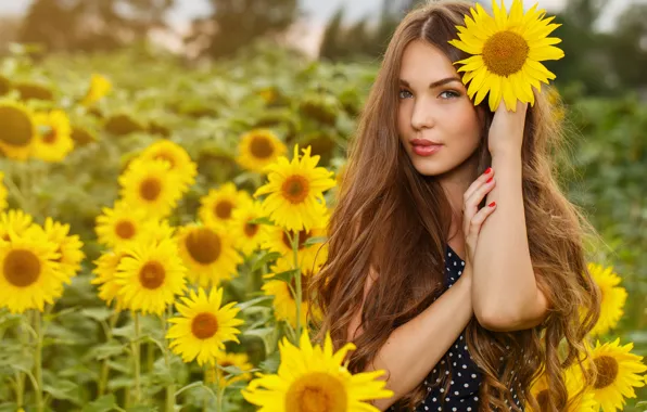 Download wallpaper flower, look, girl, sunflowers, flowers, portrait ...