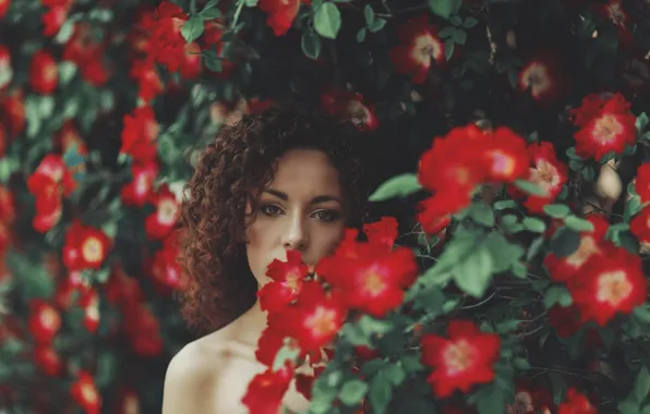 Wallpaper Look Girl Flowers Face Hair For Mobile And Desktop