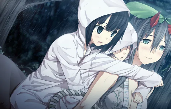 Wallpaper forest, anime, art, monobeno for mobile and desktop, section ...