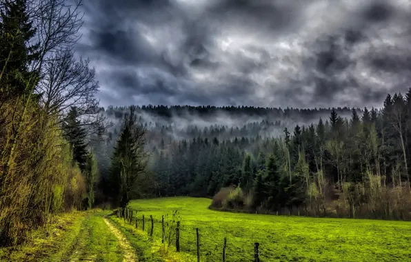 Wallpaper summer, nature, the fence for mobile and desktop, section ...