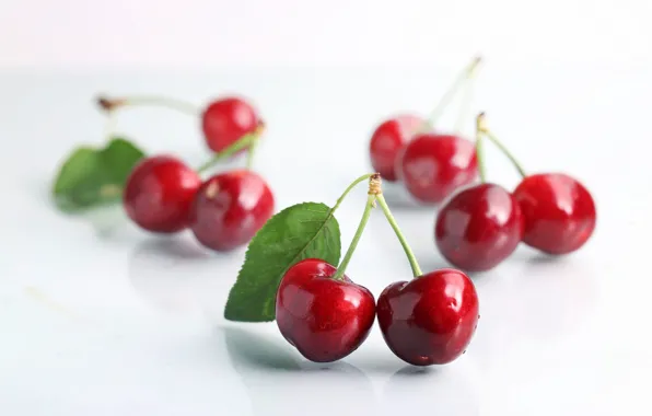 Wallpaper cherry, white background, cherry for mobile and desktop ...