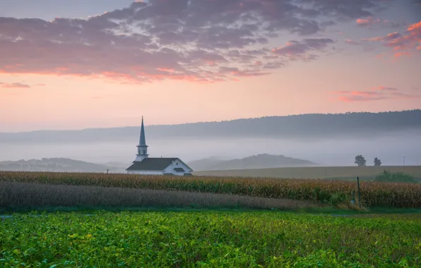 Download wallpaper field, fog, morning, Church, section landscapes in ...