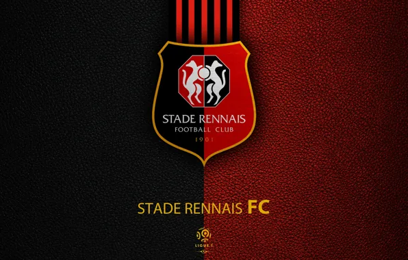 Wallpaper wallpaper, logo, football, Sport, Ligue 1, Tennis Stadium for ...